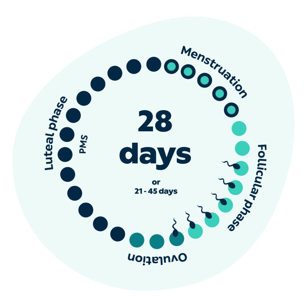 How Many Days After Your Period Can You Get Pregnant? - Richmond Mom