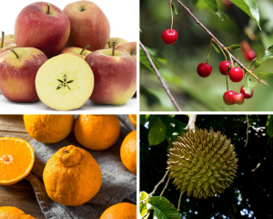 27+ Fruits that Start with W with Facts and Pictures - Richmond Mom