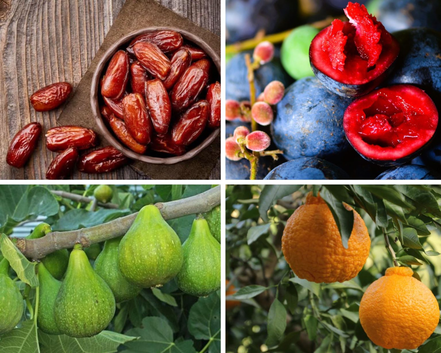 46 Fruits That Start with D Facts & Pictures - Richmond Mom