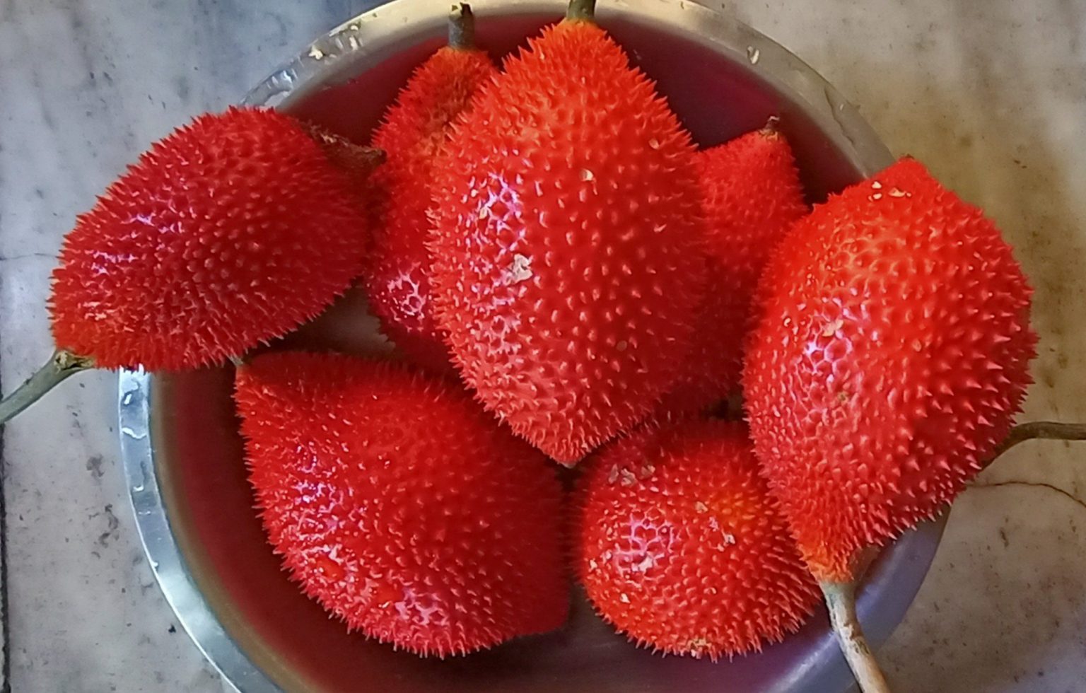 25 Fruits that Start with G Facts and Pictures - Richmond Mom