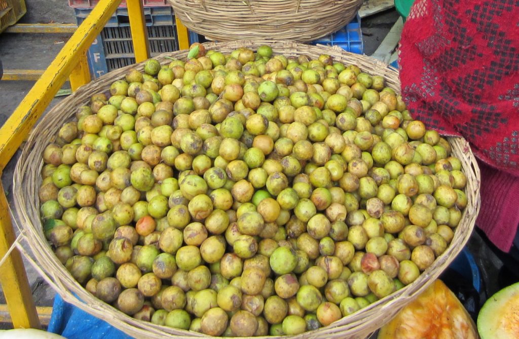 29 Fruits that Start with N with Facts and Pictures - Richmond Mom