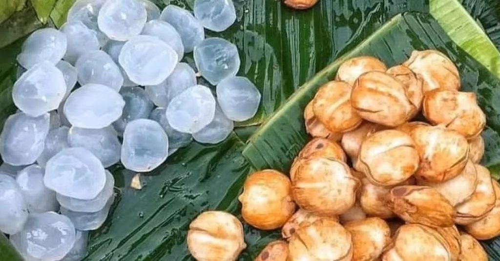 29 Fruits that Start with N with Facts and Pictures - Richmond Mom