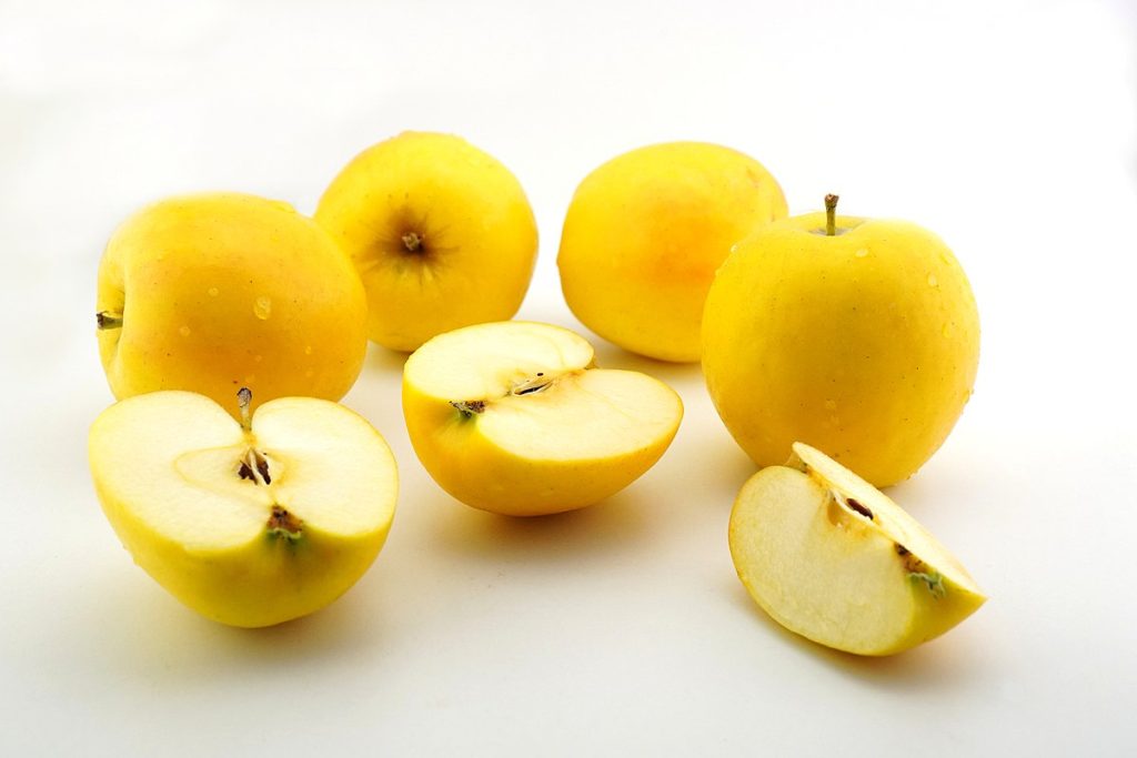 30 Fruits that Start with O with Facts and Pictures - Richmond Mom