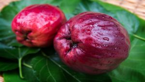 30 Fruits that Start with O with Facts and Pictures - Richmond Mom