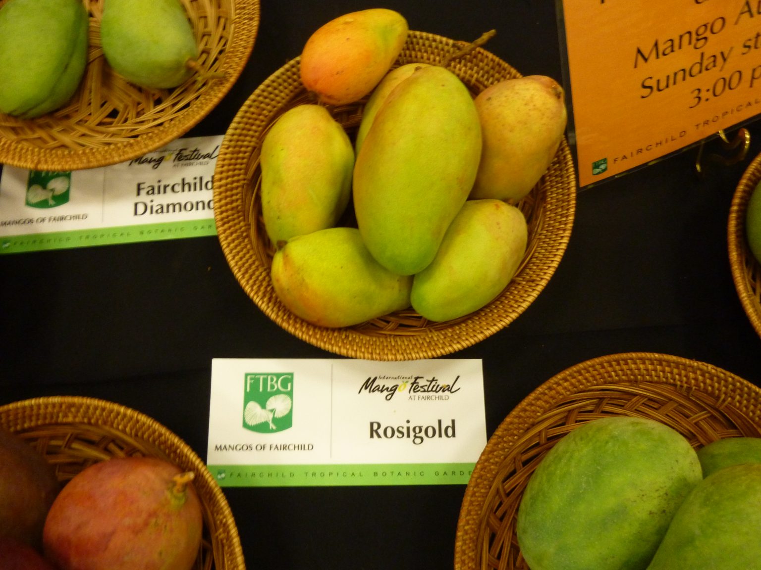 31 Fruits that Start with R with Facts and Pictures - Richmond Mom