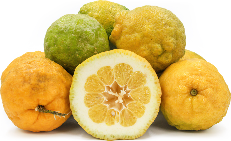 31 Fruits that Start with R with Facts and Pictures - Richmond Mom