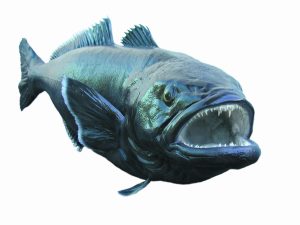 List of 24 Fascinating Animals of Antarctica: A Quick Guide for Kids ...