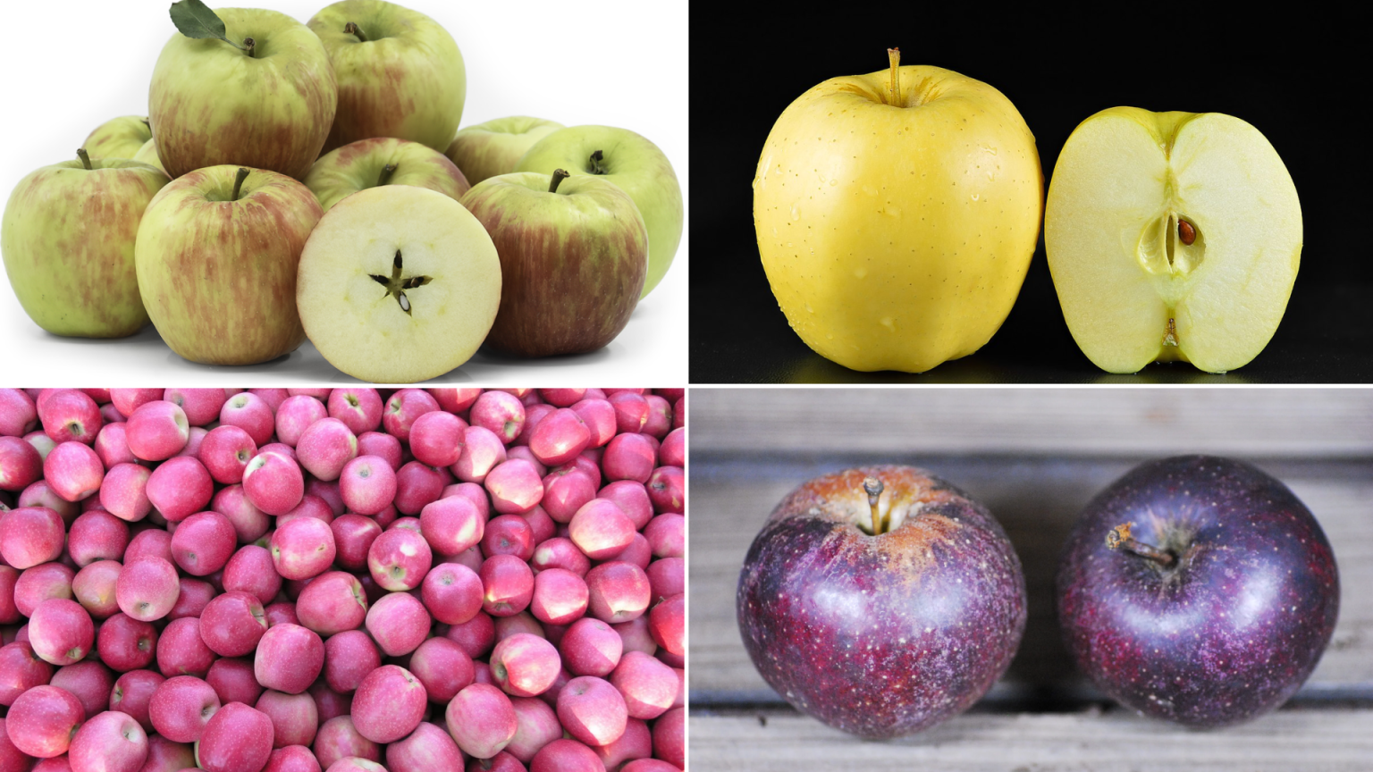 61 Popular Types of Nuts Around the World - Richmond Mom 61 Popular Types of Nuts Around the World - Richmond Mom