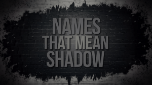 List of 533 Names Meaning Shadow - Richmond Mom