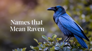 211 Hand-Picked Names that Mean Raven with Their Origin - Richmond Mom
