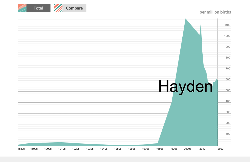 Hayden Name Meaning: Origin, History & Modern Appeal - Richmond Mom
