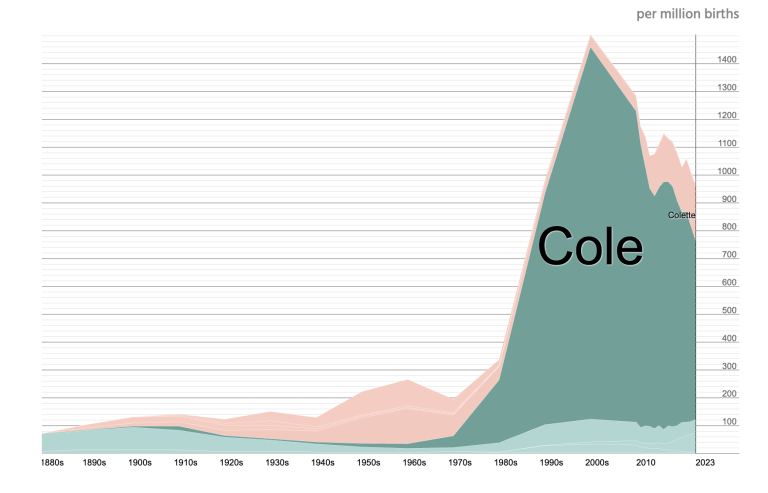 Cole Name Meaning: Origin, History & Modern Appeal - Richmond Mom