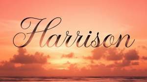 Harrison Name Meaning: Origin, History & Modern Appeal - Richmond Mom