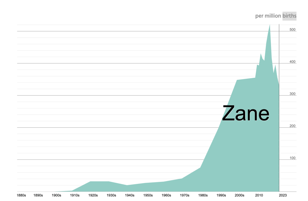 Zane Name Meaning: Origin, History & Modern Appeal - Richmond Mom