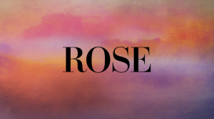 Rose Name Meaning: Origin, History & Modern Appeal - Richmond Mom
