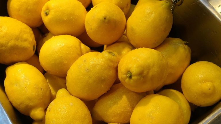 16 Fruits that Start with V with Facts and Pictures - Richmond Mom